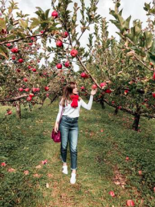 Landing - Windmill Orchard